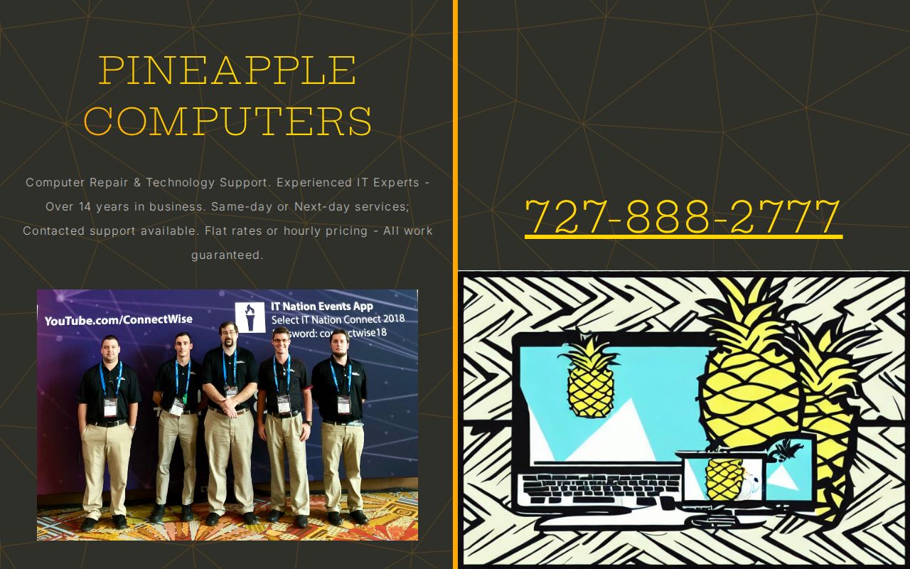 Pineapple Computers of Bikini Bottom. Wildly Fresh IT Services in Clearwater, FL.